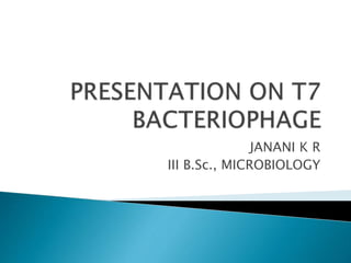 PRESENTATION ON T7 BACTERIOPHAGE.pptx
