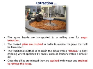 Presentation on tequila | PPT