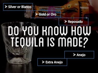 Presentation on Tequila | PPTX
