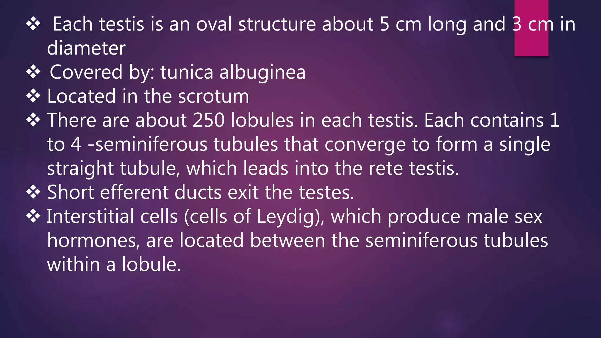 Presentation on testes ppt | PPTX | Infertility | Reproductive Health