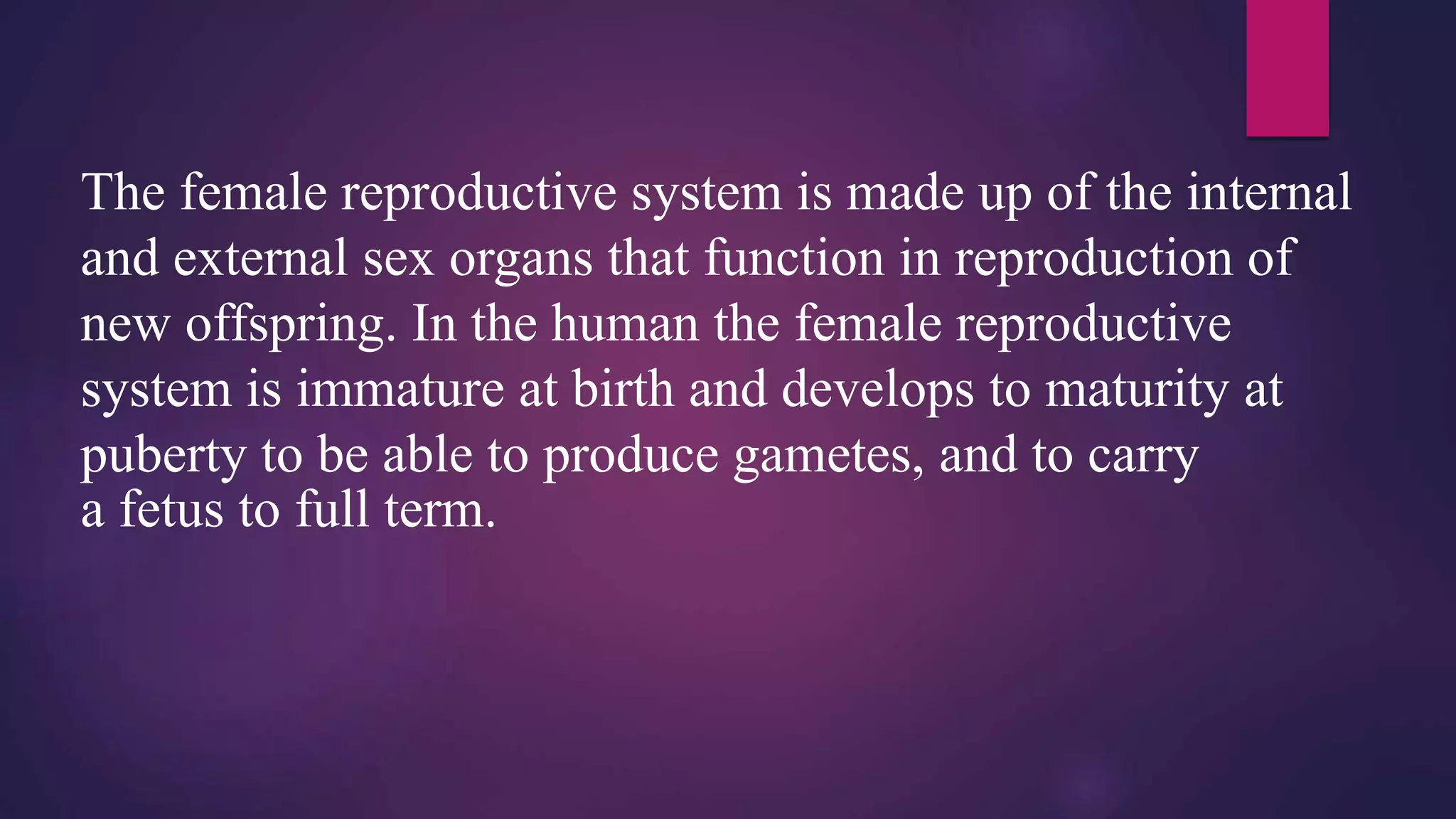 Presentation on testes ppt | PPTX
