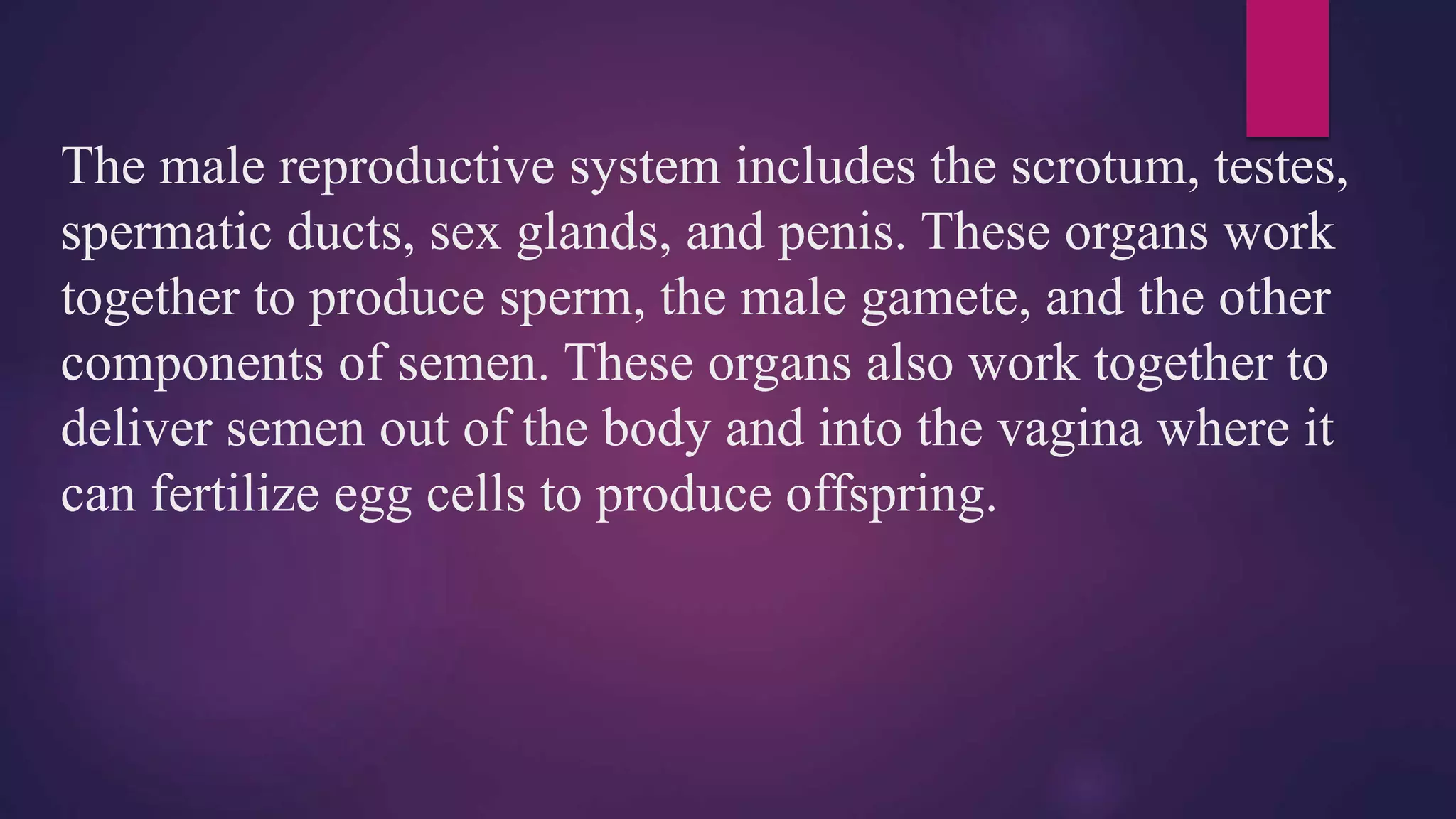 Presentation on testes ppt | PPTX