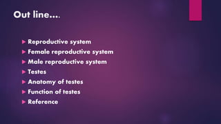 Presentation on testes ppt | PPTX