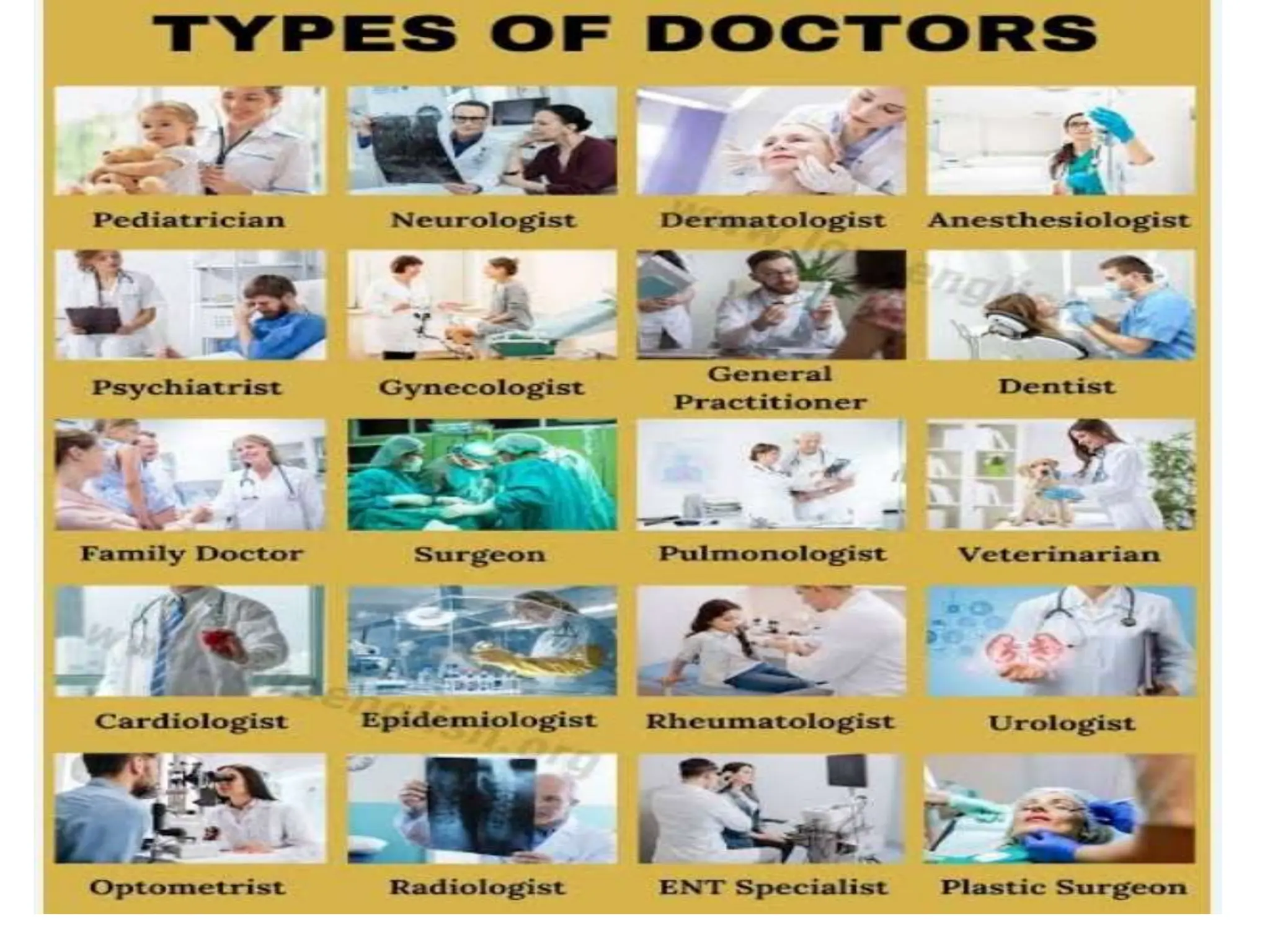 Presentation on the topic of Doctors by Palak VII.pptx