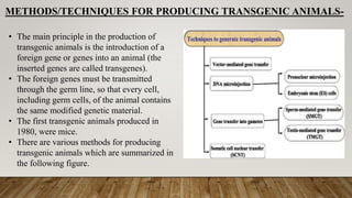 presentation on transgenic animals.pptx