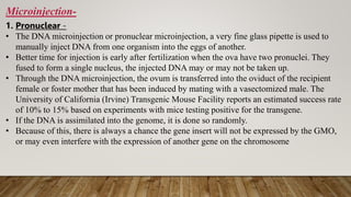 presentation on transgenic animals.pptx