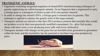 presentation on transgenic animals.pptx