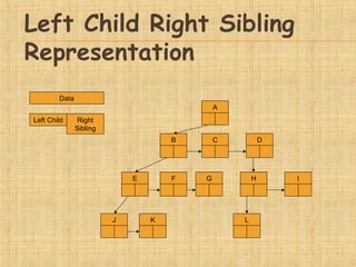 Tree of Data Structure | PPT