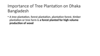 Presentation on tree plantation in Dhaka.pptx