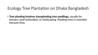 Presentation on tree plantation in Dhaka.pptx