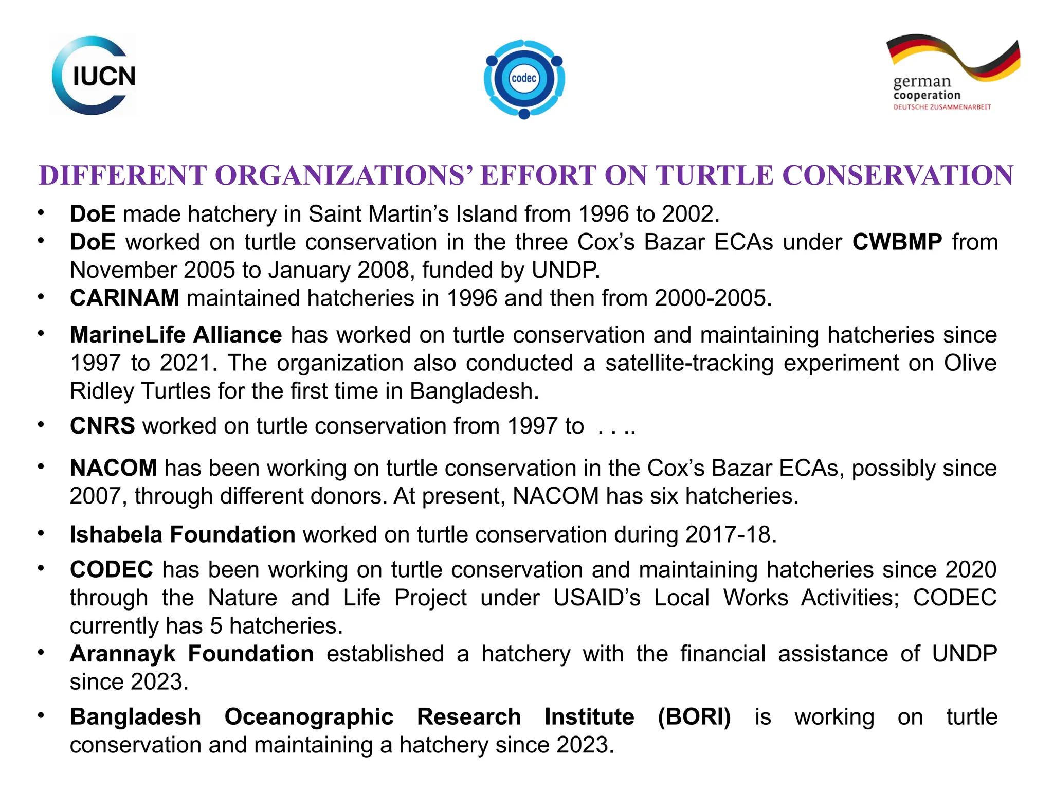 Presentation on Turtle Conservation for BUP on 19.05.2025.pptx