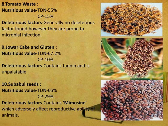 Presentation on unconventional feed stuff complete1 | PPTX