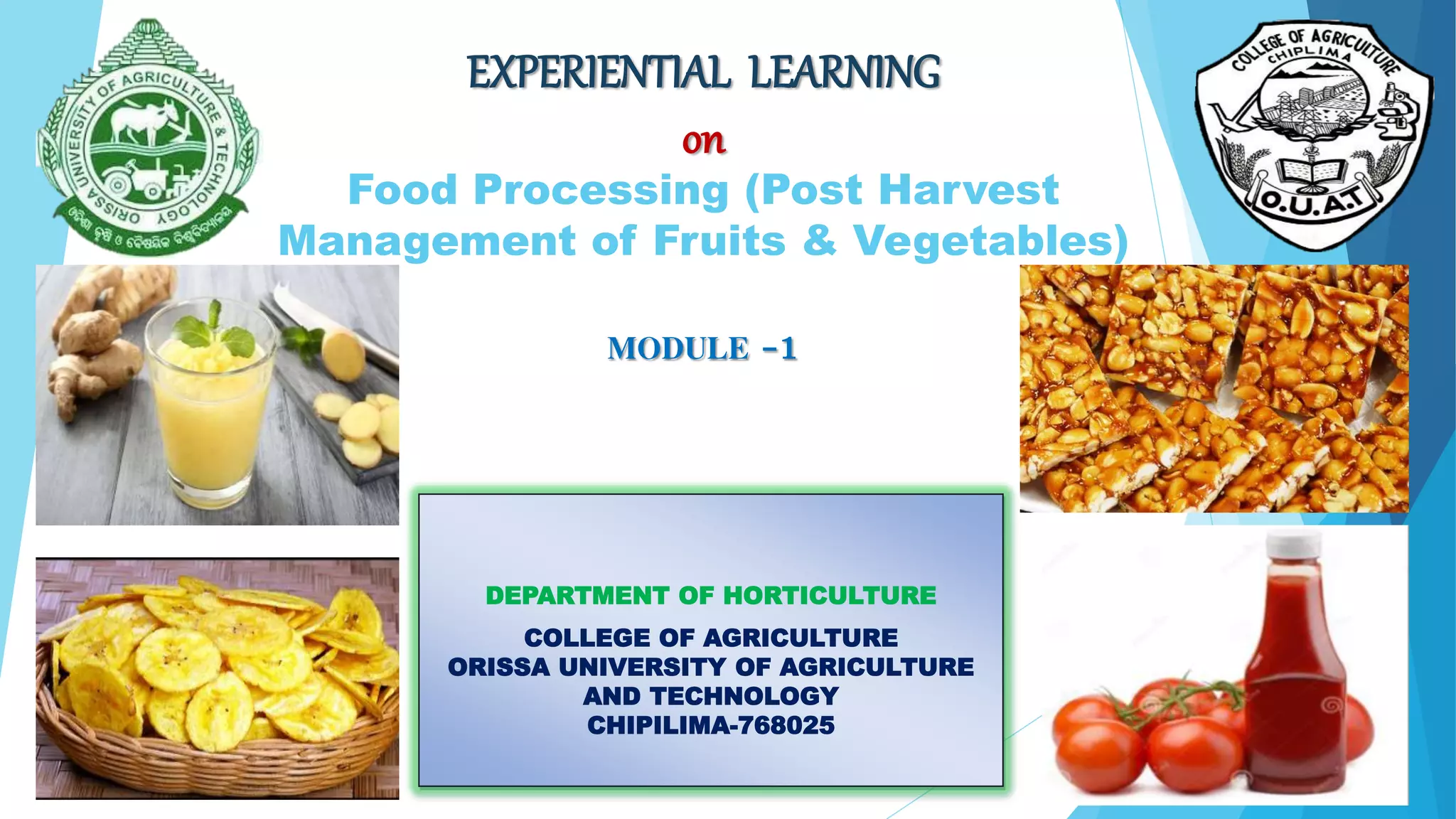 Presentation on value addition of horticultural crops | PPTX