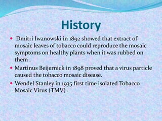 PRESENTATION ON VIRUS.pptx