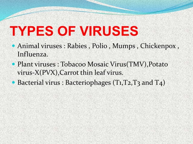 PRESENTATION ON VIRUS.pptx