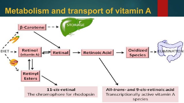Vitamin A deficiency: at a glance | PPT