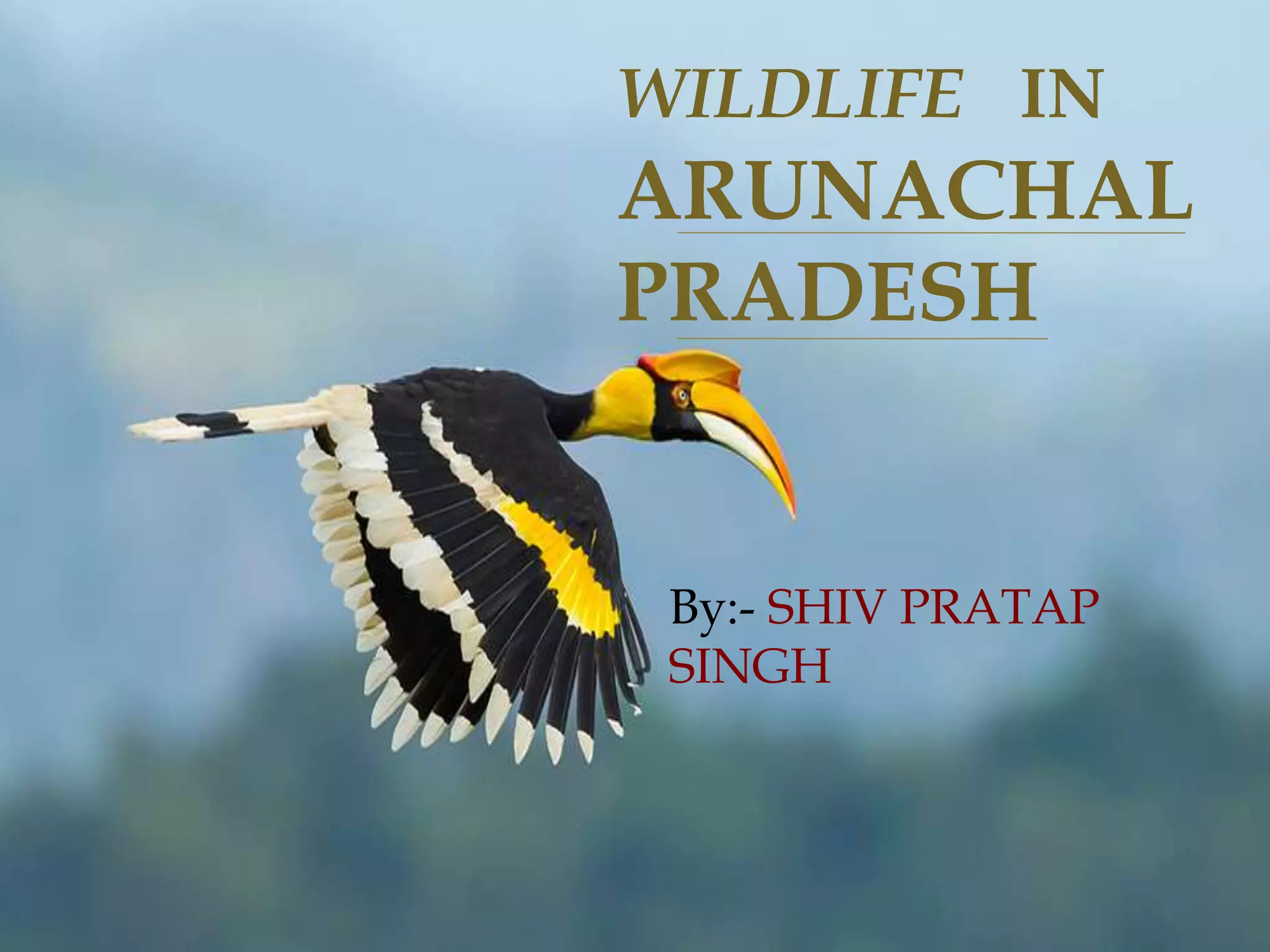 Presentation On Wildlife In Arunachal Pradesh Pptx