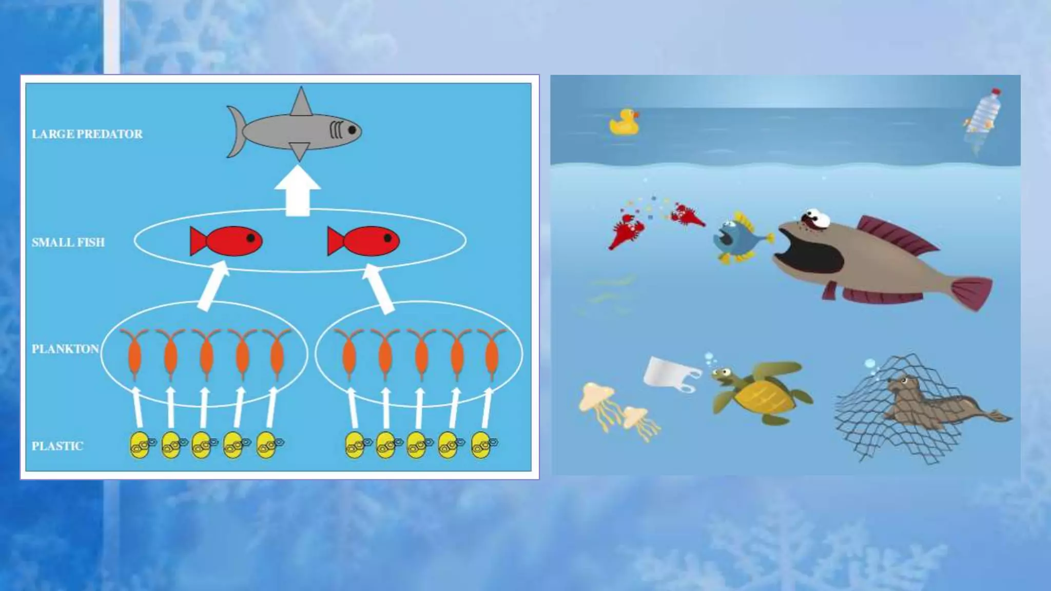 Presentation on world environment day 2018 beat plastic pollution | PPT