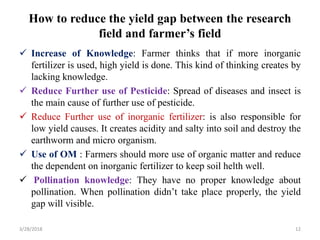 Presentation on yield gap | PPTX