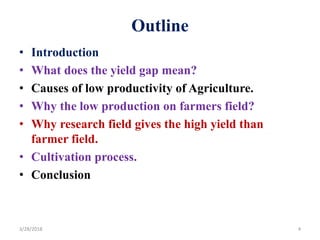 Presentation on yield gap | PPTX