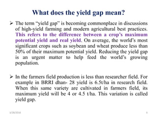 Presentation on yield gap | PPTX
