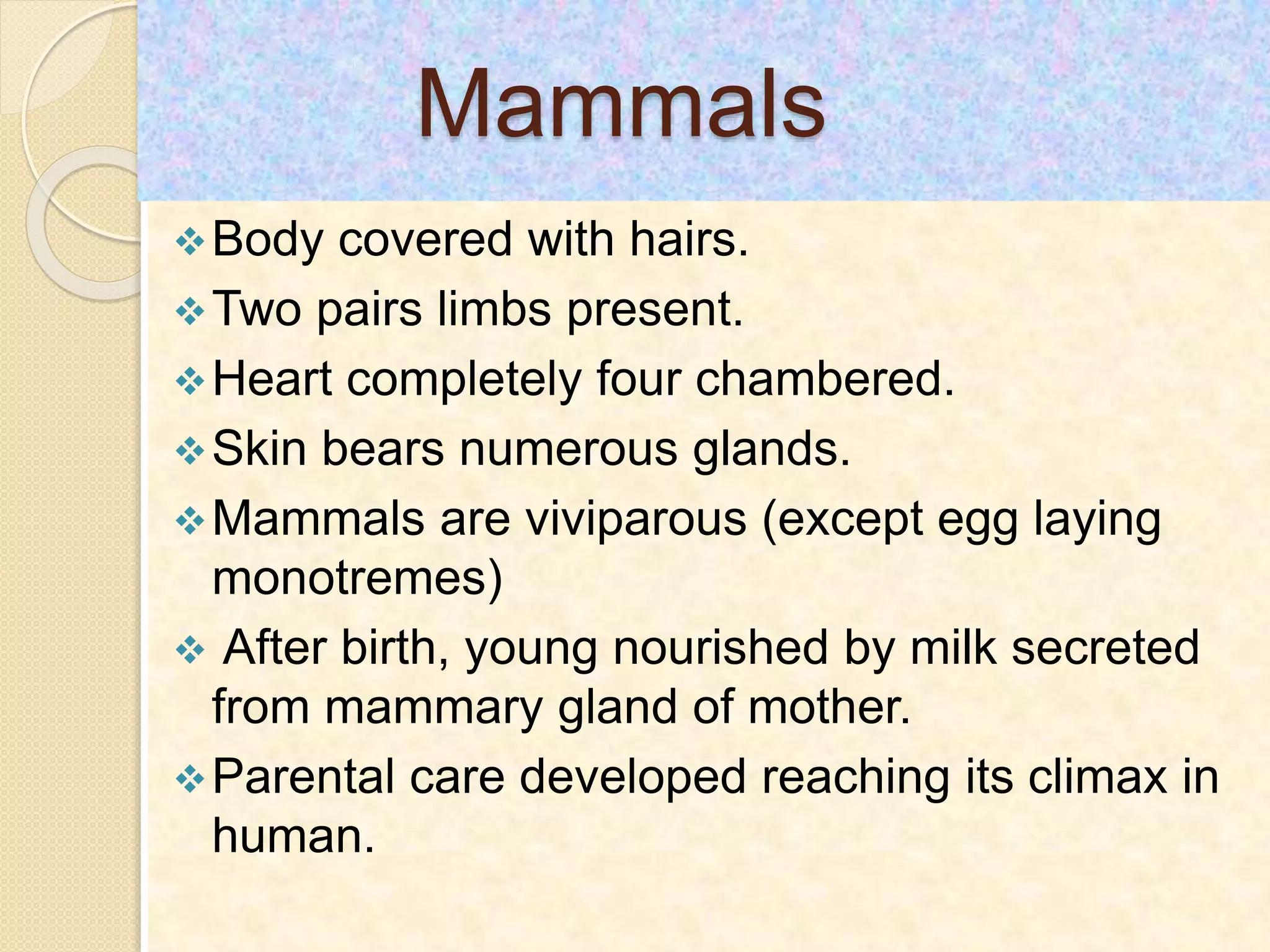 Presentation on breeding biology & parental care of mammals | PPTX