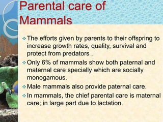 Presentation on breeding biology & parental care of mammals | PPTX