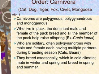 Presentation on breeding biology & parental care of mammals | PPTX