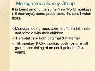 Presentation on breeding biology & parental care of mammals | PPTX