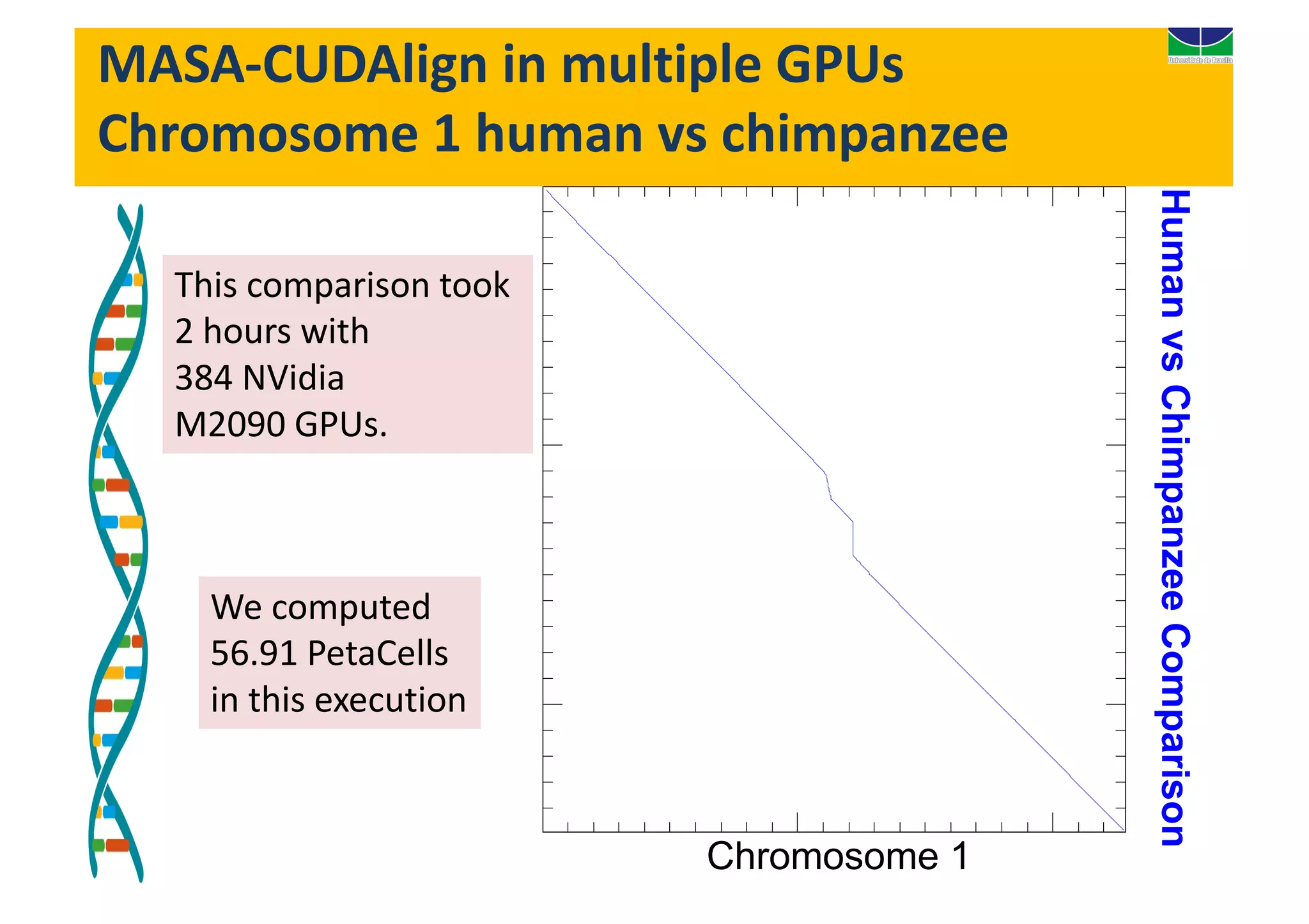 Parallel Biological Sequence Comparison in GPU Platforms | PPT