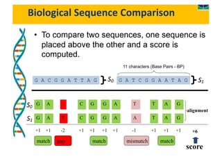 Parallel Biological Sequence Comparison in GPU Platforms | PDF
