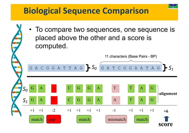 Parallel Biological Sequence Comparison in GPU Platforms | PPT