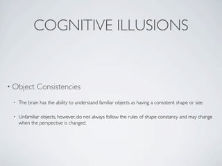 Cognitive Illusions Examples