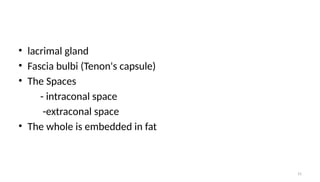 Presentation on Radiological Anatomy of the Orbit | PPTX