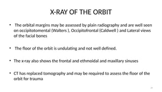 Presentation on Radiological Anatomy of the Orbit | PPTX