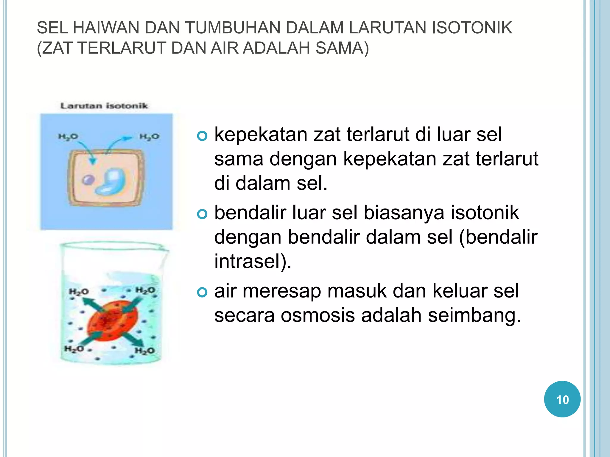 Presentation osmosis. | PPTX