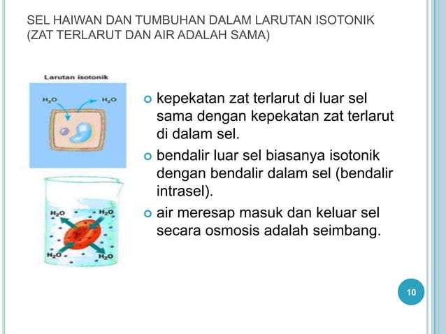 Presentation osmosis. | PPTX