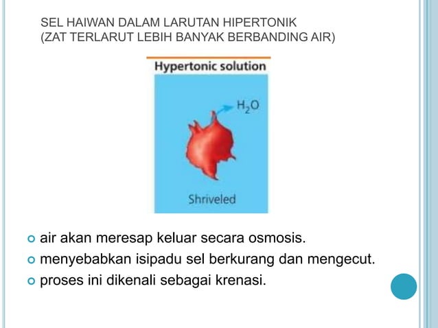 Presentation osmosis. | PPTX