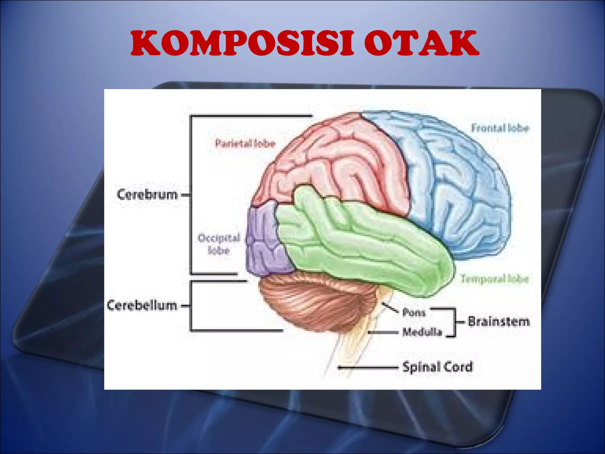 Presentation otak | PPT