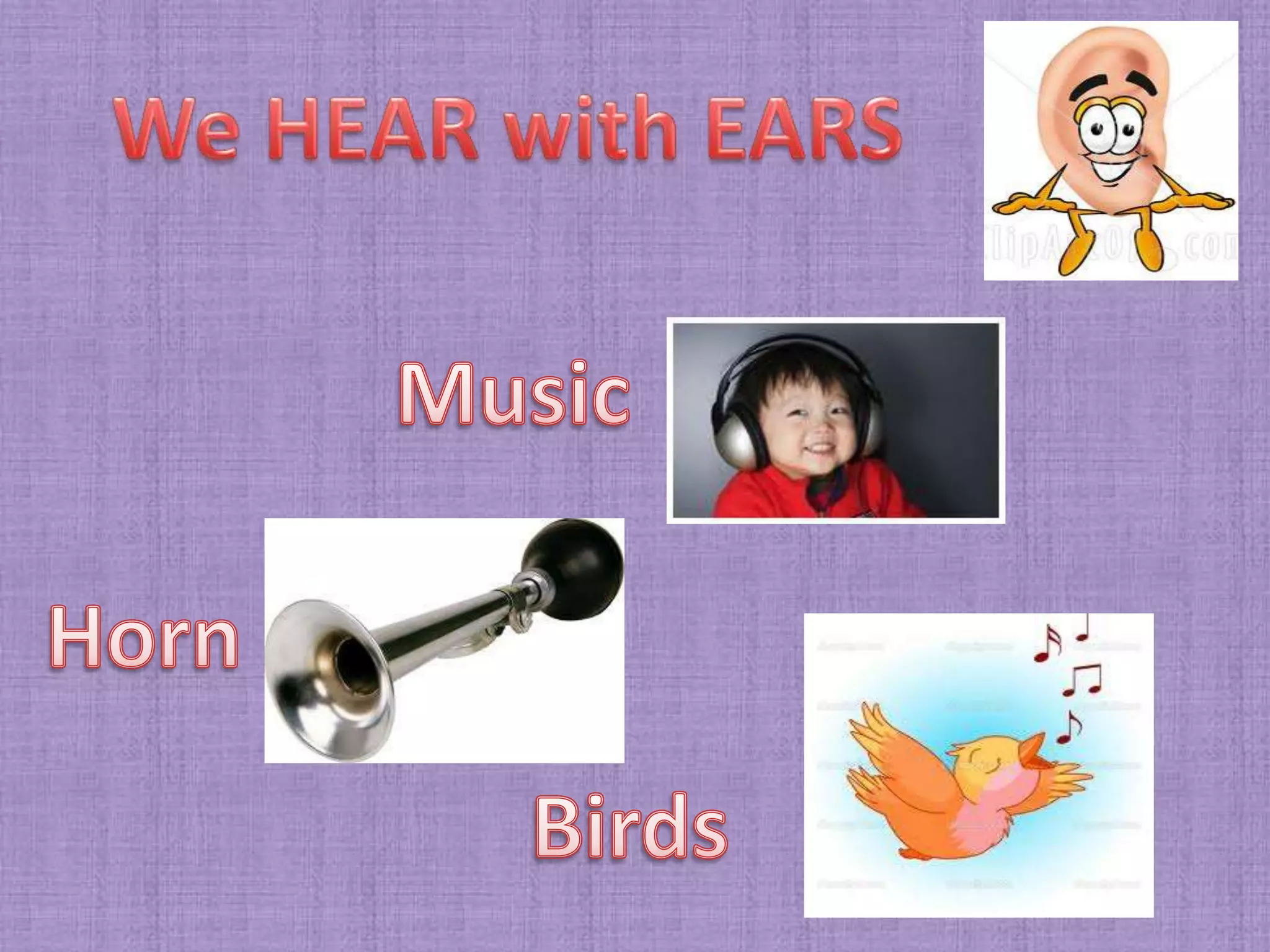 Presentation our five senses | PPTX