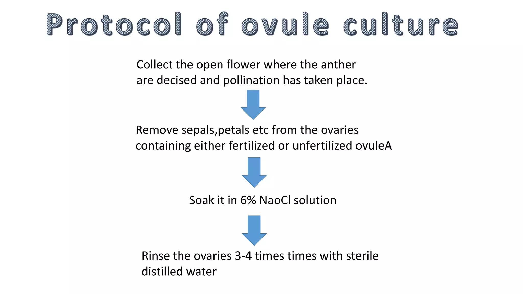 Presentation ovary and ovule culture | PPTX