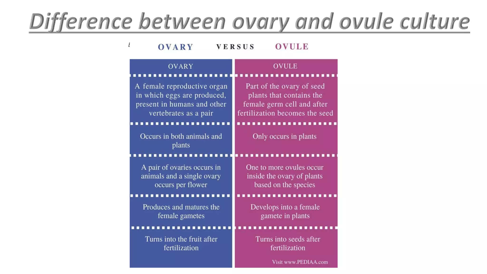 Presentation ovary and ovule culture | PPTX