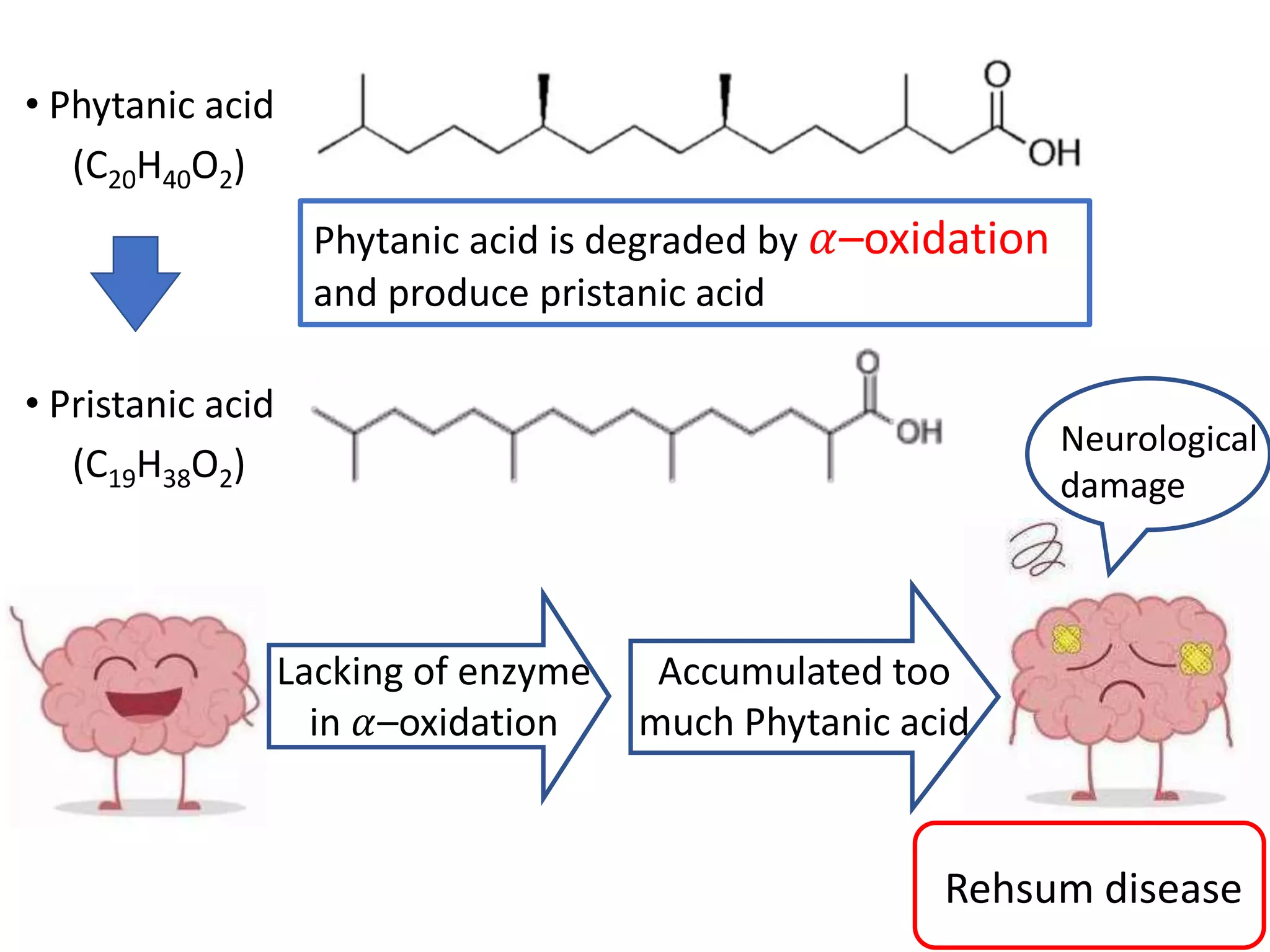 Phytanic acid pathway and Refsum disease | PPTX