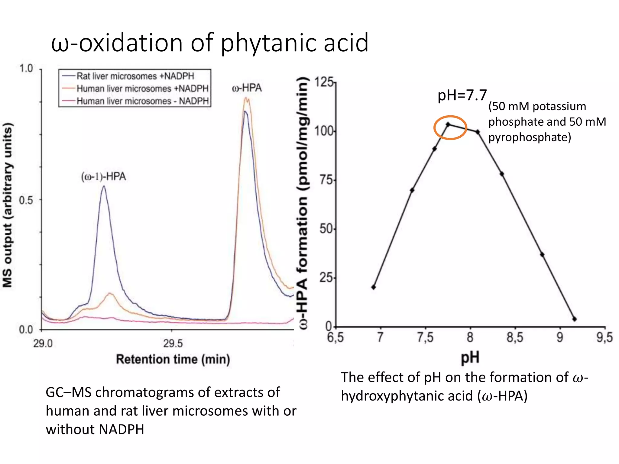 Phytanic acid pathway and Refsum disease | PPTX