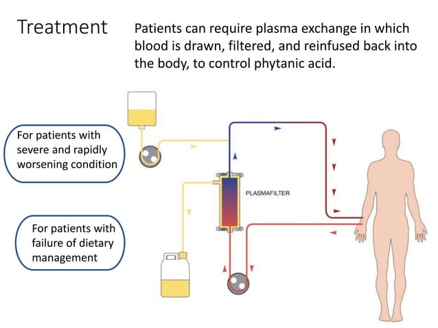 Phytanic acid pathway and Refsum disease | PPTX