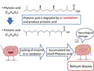 Phytanic acid pathway and Refsum disease | PPTX
