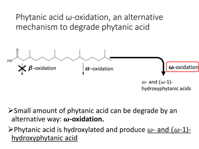 Phytanic Acid Pathway And Refsum Disease Ppt