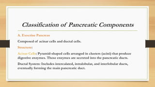 endocine gland Presentation (pancreas).pdf