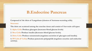endocine gland Presentation (pancreas).pdf