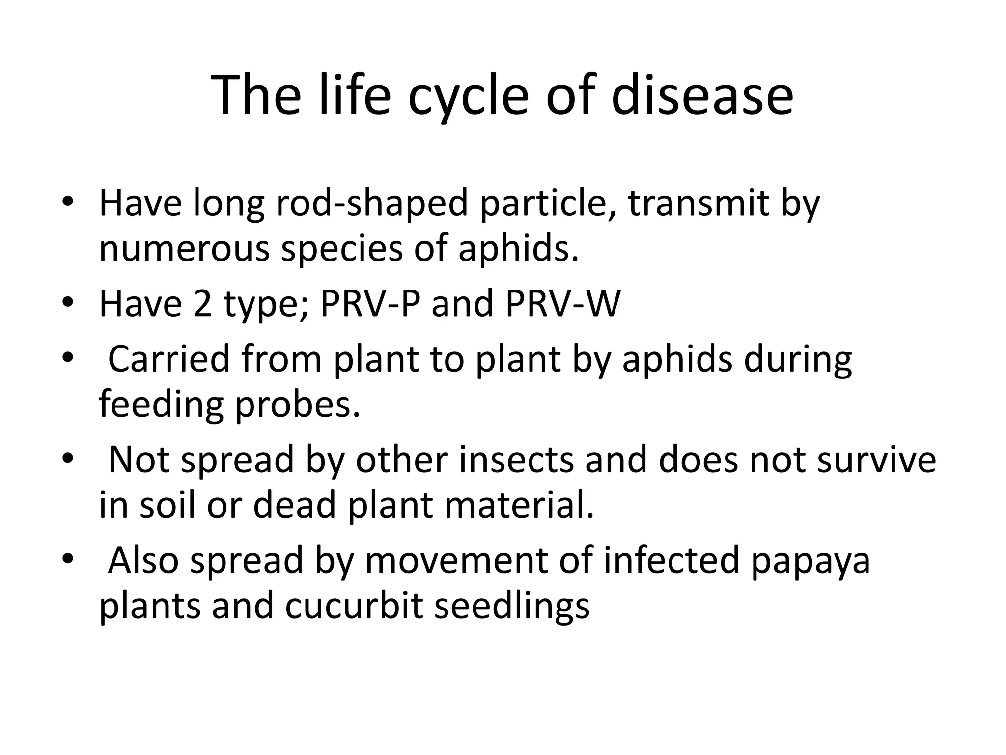 Presentation papaya | PPTX